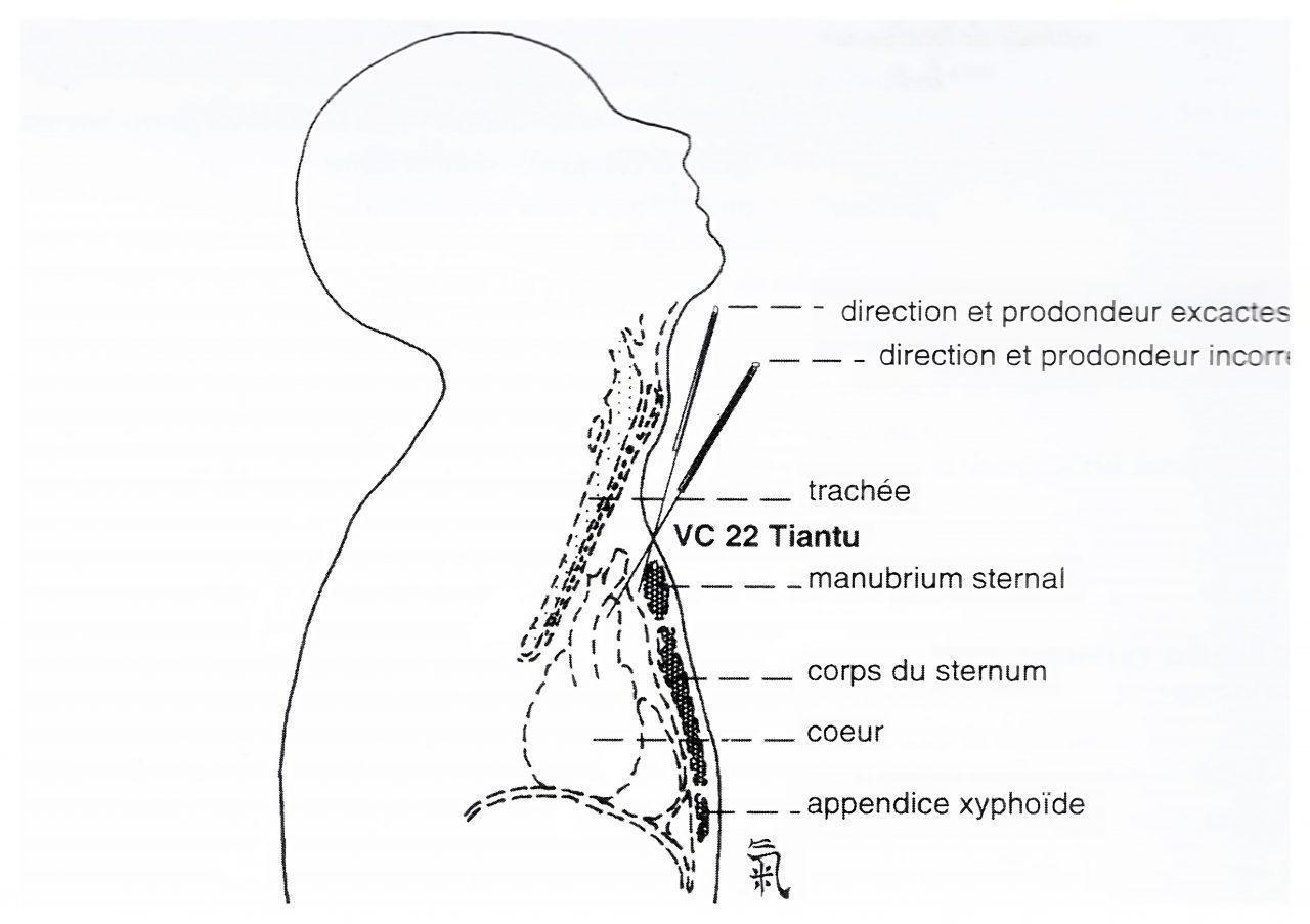 VAISSEAU CONCEPTION - Tao et Spiritualité
